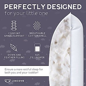 Lincove Canadian Down Toddler Pillow for Sleeping - Perfect for Kids Travel Pillow, Nap Time, Toddler Cot, Crib, Bed - 800 Fill Power, 100% Cotton Shell, 400 Thread Count (13 x 18)