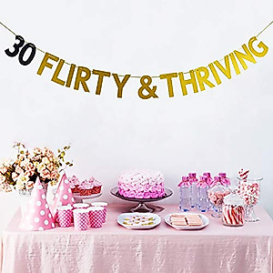 30 Flirty & Thriving Banner, 30th Birthday Bunting Sign, Dirty Thirty Party Decorations, Dirty 30 Party Sign, Gold and Black Glitter