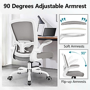 FelixKing Ergonomic Office Chair, Adjustable Height, Breathable Mesh Fabric, Lumbar Support, Gray