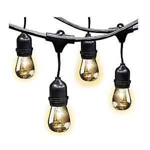 Feit Electric 48' LED Filament String Light Set