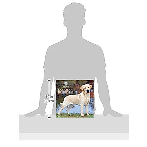 2014 Labrador Retrievers - American Kennel Club Wall