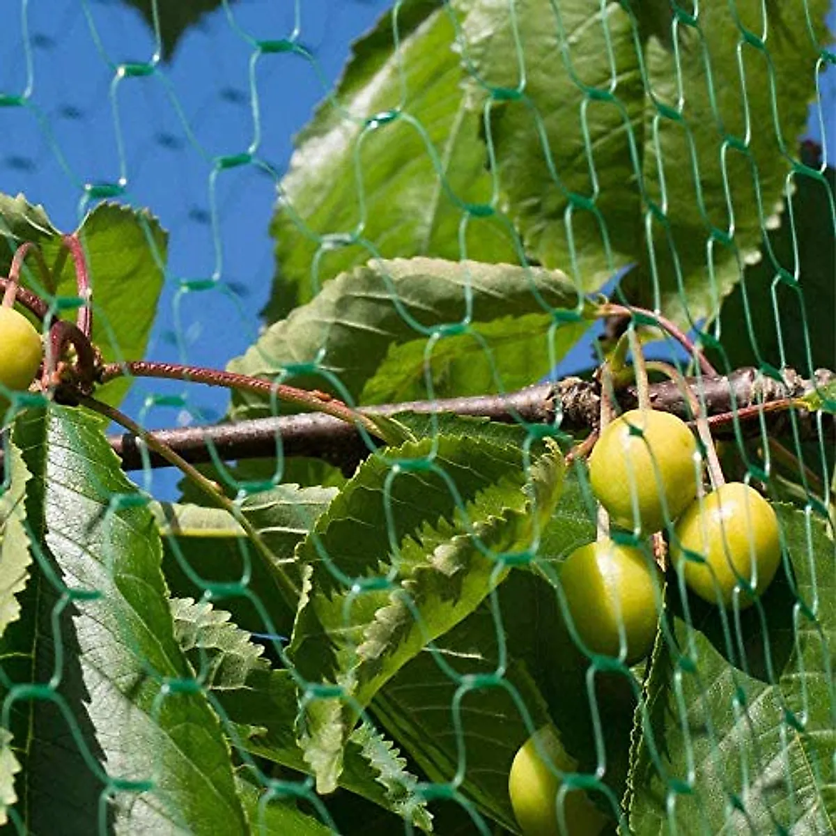 33 Ft x 6.5 Ft Green Anti Bird Netting Garden Protection Mesh Net Reusable Protective Garden Netting for Plants Fruit Trees Against Birds,Deer and Other Animals,Netting Fence (33 x 6.5 ft)