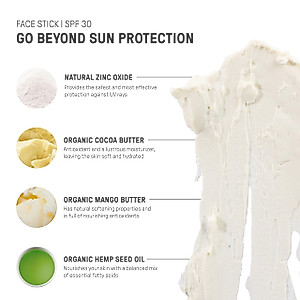 Raw Elements Face All-Natural Mineral Sunscreen Stick, Non-Nano Zinc Oxide, 95% Organic, Water-Resistant 80 Min, Reef Safe, All Ages Safe, SPF 30+, Travel Sunblock 0.5 oz