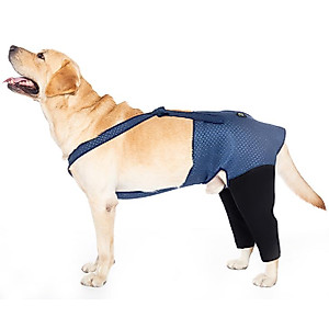 Coodeo Dog Recovery Suit, Cone Collar Alternative, Abrasion Resistant Dog Recovery Rear Sleeves, Washable 2.5mm Thick and Waterproof, Pet Wounds Prevent Licking, Biting (2XL, Blue)