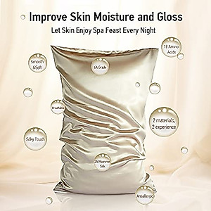 Silk Pillowcase 2 Pack for Hair and Skin,22 Momme 100% Mulberry Silk & Natural Wood Pulp Fiber Grade 6A Dual-Sided Silk Pillow Cases with Hidden Zipper,600 Thread Count(Champagne,Standard 20"x26")