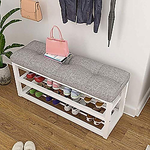 LDCHNH 2 Tier Shoe Storage Stool Living Room Shoe Rack Simple Change Shoe Bench Organizer Cabinet Hallway Seat Chair Shelf Holder (Color : D)