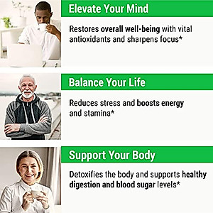 Sayan Siberian Chaga Mushroom Tea Organic Antioxidant Caffeine Free, Raw and Extract Blend, Unbleached 20 Bag, Wild Harvested for Focus Concentration Energy Boost and Immune Support, Detox