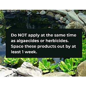 PondWorx Pond Bacteria and Water Clear- Formulated for Large Ponds, Water Features and Safe for Koi, Improves Water Quality- Gallon