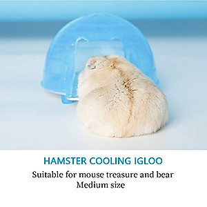 POPETPOP Chinchilla Cooling House - 2 Pack Hamster House Summer Cooling Mini Hamster Cool Plastic Small House for Hamster Chinchilla (Random Color)