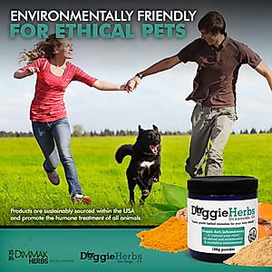 Anti-Inflammatory for Dogs w Turmeric (Curcumin) | Human Grade Dog Pain Relief, Arthritis Supplement – 100g by Doggie Herbs