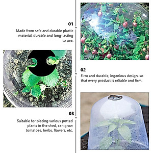 House Plants Mushroom Container 4pcs Garden Cloche Domes Plastic Plant Bell Cover Humidity Dome or Starter Pots for Plant Nursery Clear Glass Containers House Plants Indoors Live