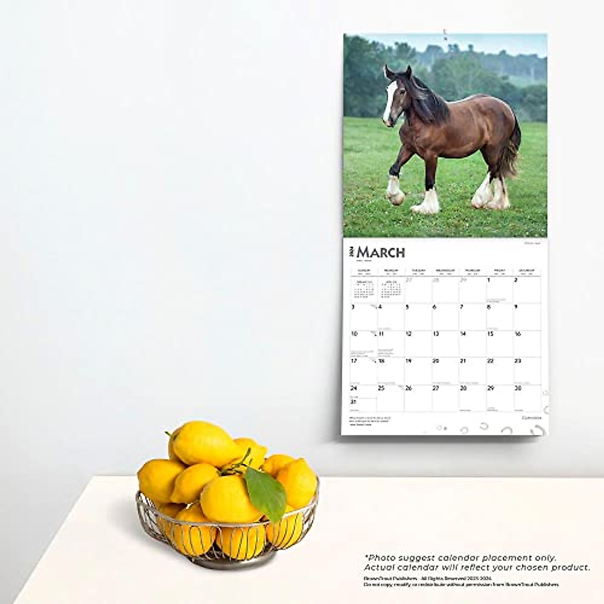 Clydesdales | 2024 12 x 24 Inch Monthly Square Wall Calendar | BrownTrout | Animals Horses
