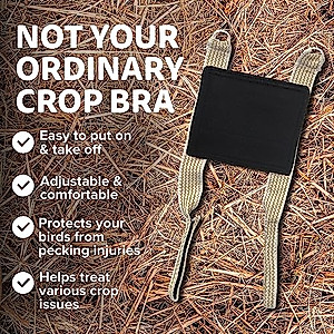 Birdy Bra Standard Chicken Hook-and-Loop Crop Bra, Black
