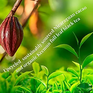 The Republic of Tea - Theo and Thea Blood Orange Spice Full-Leaf Black Tea, 14 Pyramid Sachets, Low Caffeine