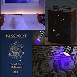 Riakrum 12 Pieces Blacklight Flashlights LED UV Handheld Mini Black Light Flashlight Small Portable UV Light Detector UV Flashlight 395nm 9 LED Light, Not Included Battery (Black)