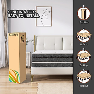 Hohamn Queen Size Mattress, 12 Inch Hybrid Mattress in a Box, Queen Mattress Foam and Individually Wrapped Pocket Coils, Soft and Breathable, Pressure Relief, Strong Edge Support, Medium Firm