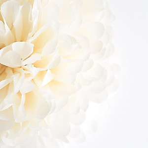 Upgraded Gold White Birthday Party Decorations for Girls Women Men with Happy Birthday Sash,Banner,Tissue Pompoms,Circle Dots Garland,Paper Tassels Garland, cake topper for Her Birthday Decor