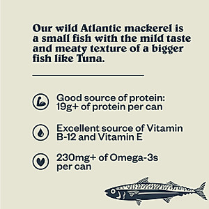 Patagonia Provisions Spanish Paprika Wild Mackerel | Responsibly Sourced in Spain | 20g Protein & Gluten Free