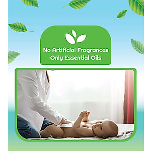 Clearly Herbal Baby Wipes, made with Essential Oils and Natural Herbal Extracts, Parent's Choice, Case Pack 864 Plant Based Wipes (12 Packs x 72 Count)