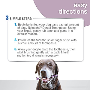 Nylabone Advanced Oral Care Senior Dog Dental Kit Bacon Flavor Small