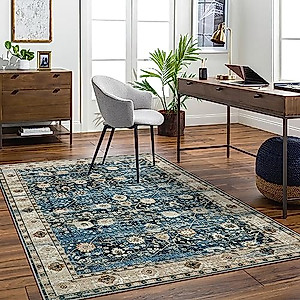 Nailttos Boho 5x7 Area Rugs, Washable Non-Slip Distressed Oriental Living Room Rug, Low-Pile Dining Room Rug Farmhouse Carpet for Bedroom Dorm Office Home Decor
