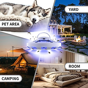 Frogoom 2 Packs Flea Traps for Inside Your Home with 6 Sticky Pads, Flea Light Traps Kills Fleas in House, Hanging Flea Lamp with USB Cable Pest Control for Bugs Moths Gnats Indoor and Outdoor