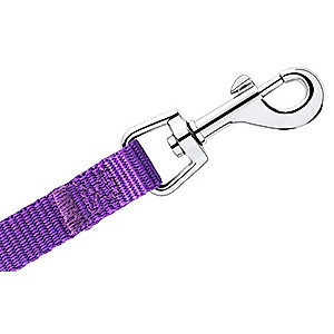 AMAGOOD 6 FT Puppy/Dog Leash, Strong and Durable Traditional Style Leash with Easy to Use Collar Hook,Dog Lead Great for Small and Medium and Large (Purple,5/8" x 6 Feet)