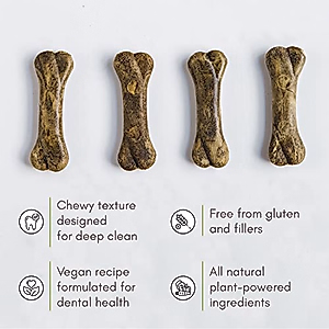 V-dog Dog Treats - Vegan Breathbone Teeth Cleaning Dental Dog Bones - Fresh Breath - 8 Ounces - All Natural - Made in USA - 6 Bones - 4" Long - Easy to Digest