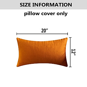 Home Brilliant Velvet Lumbar Pillow Cover for Car Chair Oblong Orange Pillow Cover for Office Lounge Nursery, Set of 2, 12 x 20 Inches(30x50cm), Copper