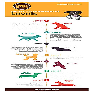 Dna My Dog Genetic Testing Kit – Essential Breed ID Test Mixed Breed Identification, Personality Traits – for Puppies to Adult Dogs, Non-Invasive Cheek Swab