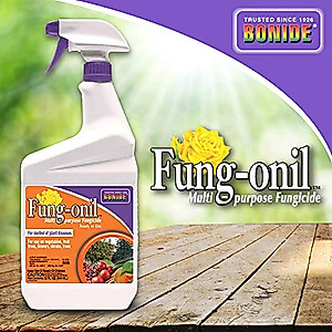 Bonide Fung-onil Multi-Purpose Fungicide, 32 oz Ready-to-Use Spray for Plant Disease Control, Controls Blight, Mildew & More