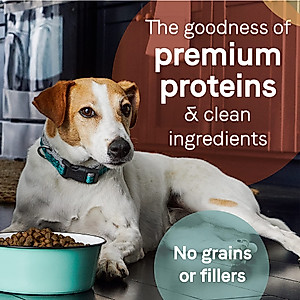 Canidae Pure Grain Free Dry Puppy Food, Real Chicken, Lentil & Whole Egg, 4 lbs.