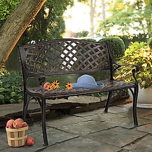 JOYBASE Outdoor Bench, Garden Patio Bench with Backrest, All-Weather Aluminum Frame, Patio Furniture Decor, Rustic Outdoor Loveseat for Lawn, Porch and Park (Bronze)