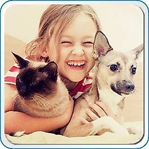 Tough Shield Liquid Bandage, 2oz Spray on Liquid Bandage for Pets, Dogs, Cats and Small Animal Skin and Wound Care, Woman Owned Small Business, Made in The USA