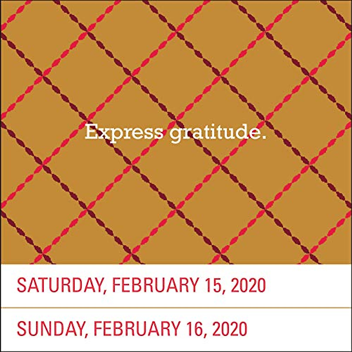 You Are Doing a Freaking Great Job Page-A-Day Calendar 2020