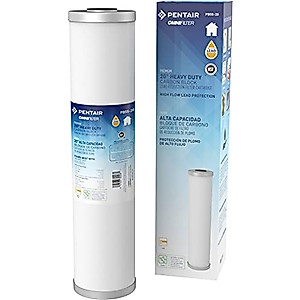 Pentair OMNIFilter PB55-20 Carbon Water Filter, 20-Inch, Whole House Premium Heavy Duty Carbon Block Lead Reduction Replacement Cartridge, 20" x 4.5", 0.5 Micron