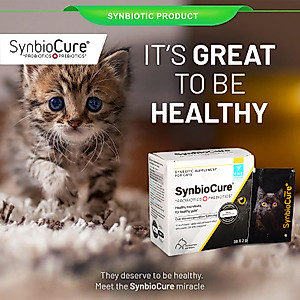 SynbioCure I Probiotics & Prebiotics for Cats I Powder Cat Supplement I Digestive Health Support I 200 Billion Bacteria Per Sachet I 30 Sachets*2 g