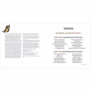 Butterflies for Kids: A Junior Scientist's Guide to the Butterfly Life Cycle and Beautiful Species to Discover