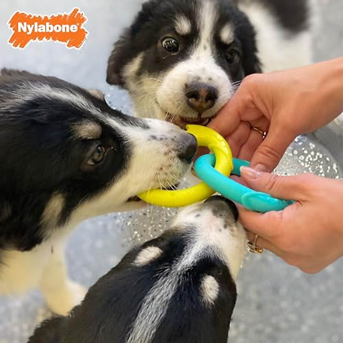 Nylabone Power Play Puppy Tug-a-Ball - Puppy Tug Toy - Interactive Puppy Enrichment Toys - Puppy Must Haves (1 Count)