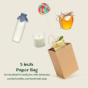 MESHA Kraft Paper Bags 5.25x3.75x8 Brown Small Gift Bags with Handles Bulk,100 Pcs Kraft Paper Bags for Small Business,Birthday Wedding Party Favor Bags,Paper Shopping Bags