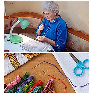 HKLIOPU Stamped Cross Stitch Kits for Adults,11CT 3 Strands Full Range of Counted Needlepoint Kits - Embroidery Patterns Art Crafts for Wall Decor 15.7 ×19.7in