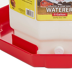 Little Giant Plastic Poultry Waterer