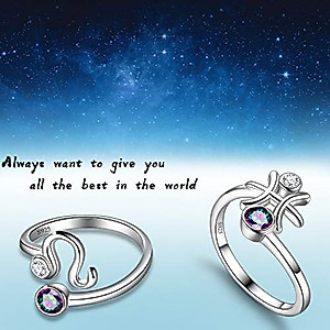 Adjustable Zodiac Sign Pisces Ring Celestial Ring with Mystic Rainbow Stone Ring for Women Boho Ring Genuine Silver February March Birthday Ring Horoscope Wedding Engagement Jewelry Ring FR0036Y