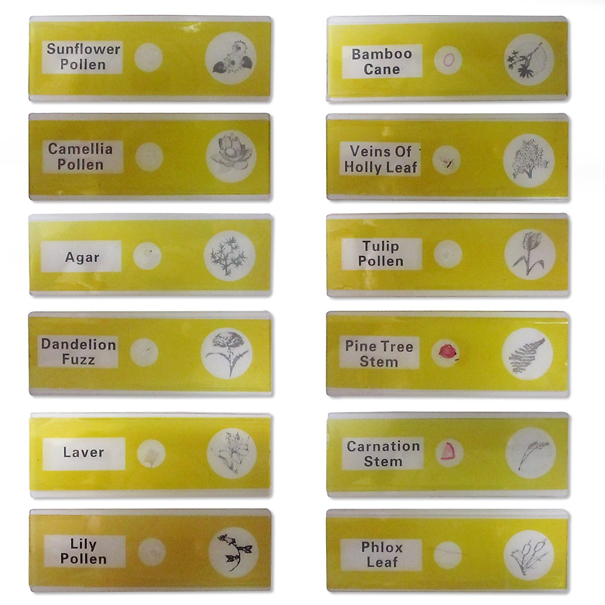 Prepared Microscope Slides Set of 48 pcs Animals Insects Plants Flowers Sample Specimens for Kids Education