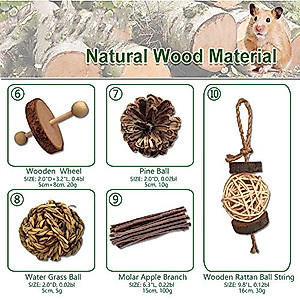 10 Pack Small Animal Combo Apple Wood Activity Toys, Hamsters Chew Toys, Rat Chinchilla Snacks Toys for Pets Organic Natural Accessories