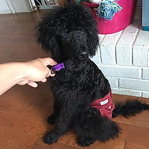 Leekalos Reusable Washable Dog Diapers Female (3 Pack) - Highly Absorbent Doggie Diapers - Size Adjustable Puppy Diapers for Dog Period Panties (Large,Red,Purple,Black)