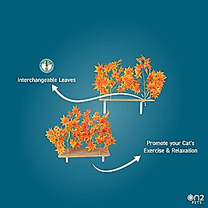 On2Pets Cat Shelves Wall-Mounted Cat Trees Cat Furniture for Climbing, Playing and Relaxing, Set of 2, Indoor Cat Shelf Made in USA… (Orange Blaze, Rectangle)