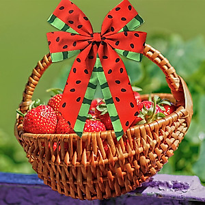 Hying 2 Rolls Summer Watermelon Ribbons Wired for Wreath Bows Wrapping Gifts, Fruit Watermelon Green Plaid Ribbon for Gift Wrapping Birthday Party Decoration Crafts 2.5" X 10 Yards Wired Edge Ribbon