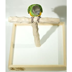 Deluxe Tabletop NU Perch - Parrot T Perch Stand