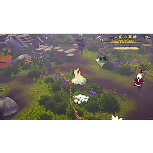 PlayStation4　メルヘンフォーレスト　通常版